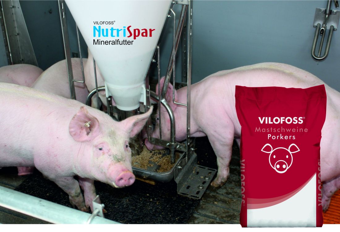 Deutsche Vilomix Tierernährung GmbH / VILOFOSS®